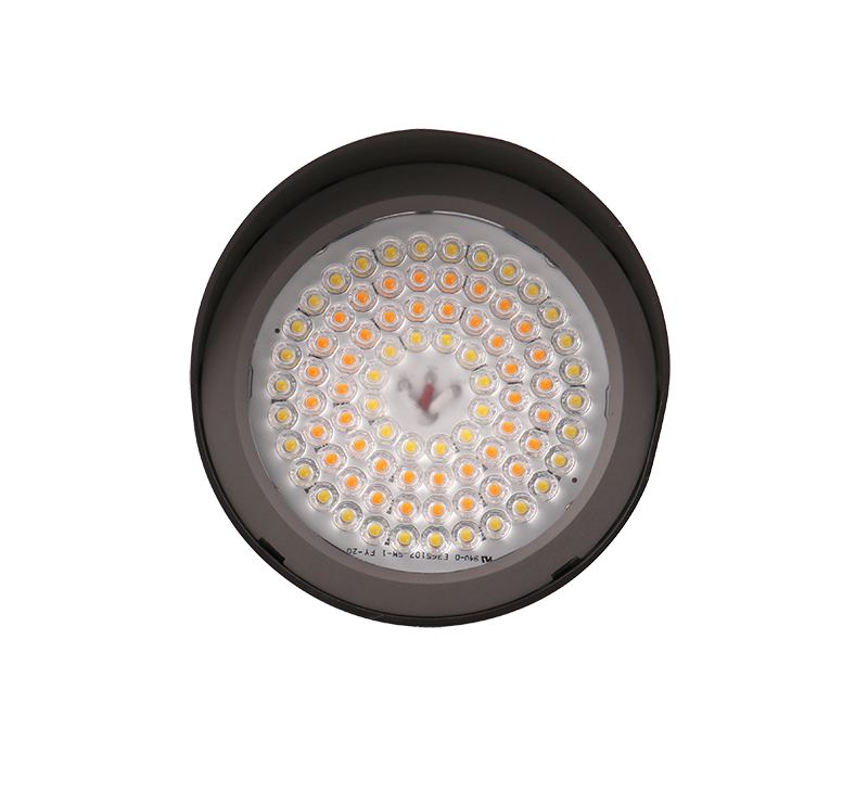 25W Landscaping Light
